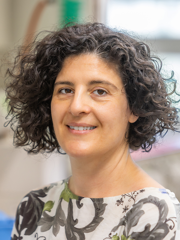 Panagiota Stamou / ICB / National Hellenic Research Foundation